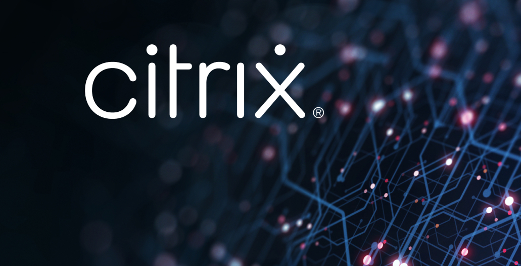 Case Study: Citrix | TransPerfect Digital